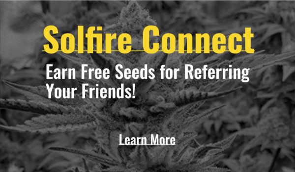 Seeds – Solfire Gardens