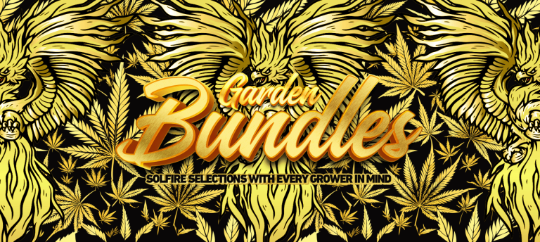 Solfire Gardens – Rise with the Phoenix