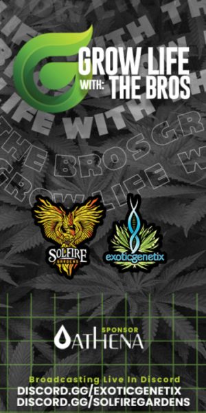 Seeds – Solfire Gardens